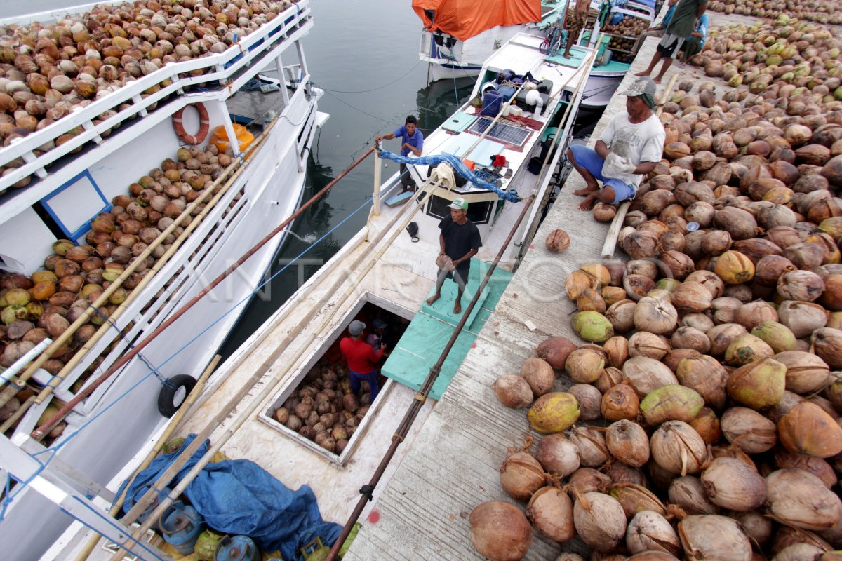 DISTRIBUSI BUAH KELAPA KEPULAUAN | ANTARA Foto