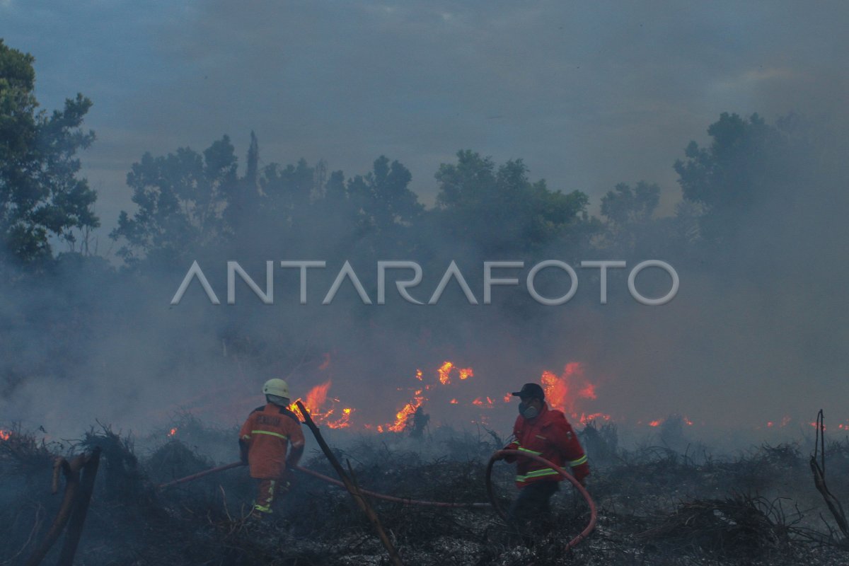 UPAYA PEMADAMAN KEBAKARAN LAHAN | ANTARA Foto