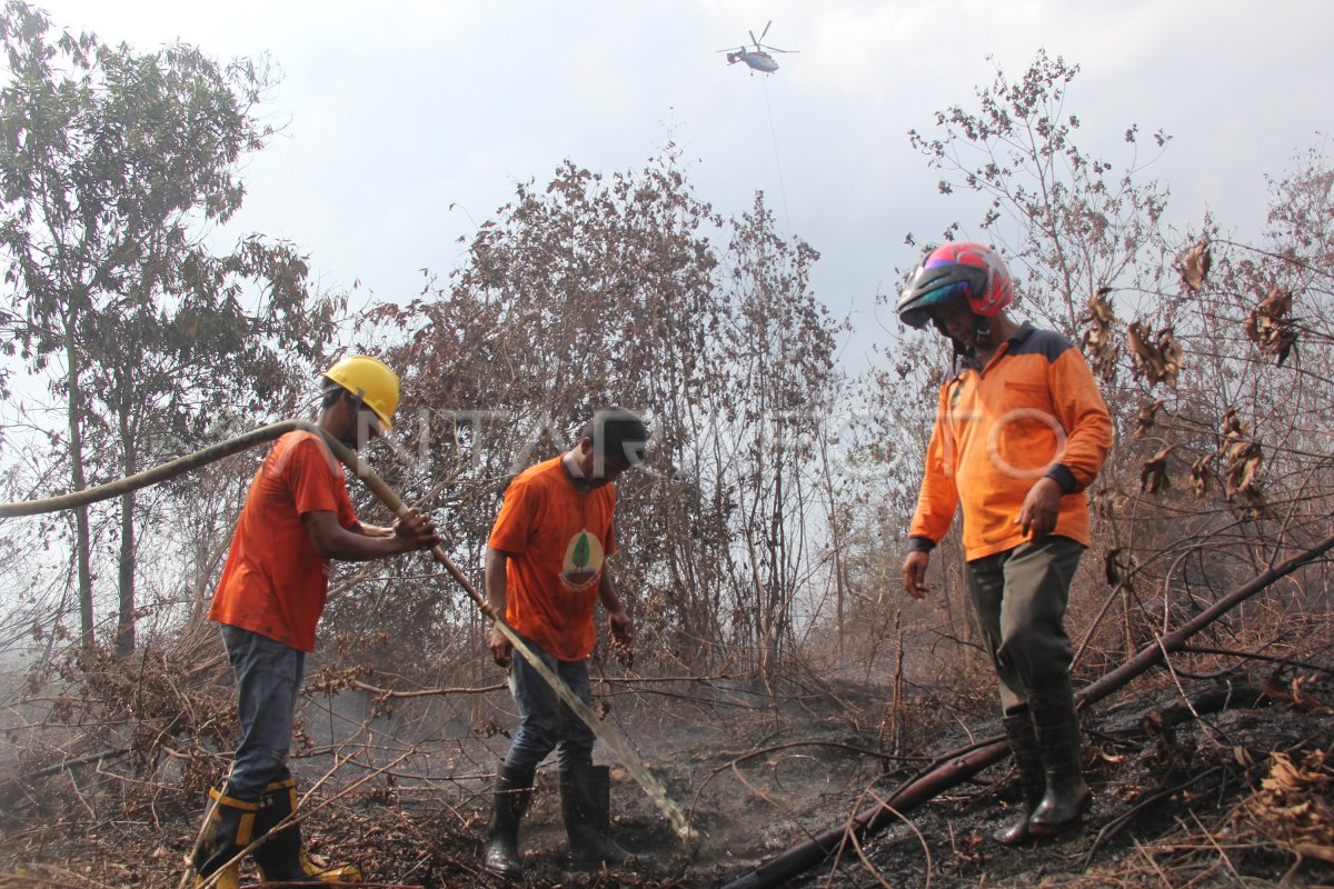 PENDINGINAN LAHAN GAMBUT | ANTARA Foto