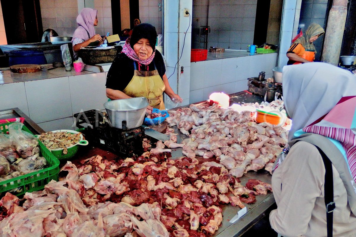 HARGA DAGING AYAM | ANTARA Foto
