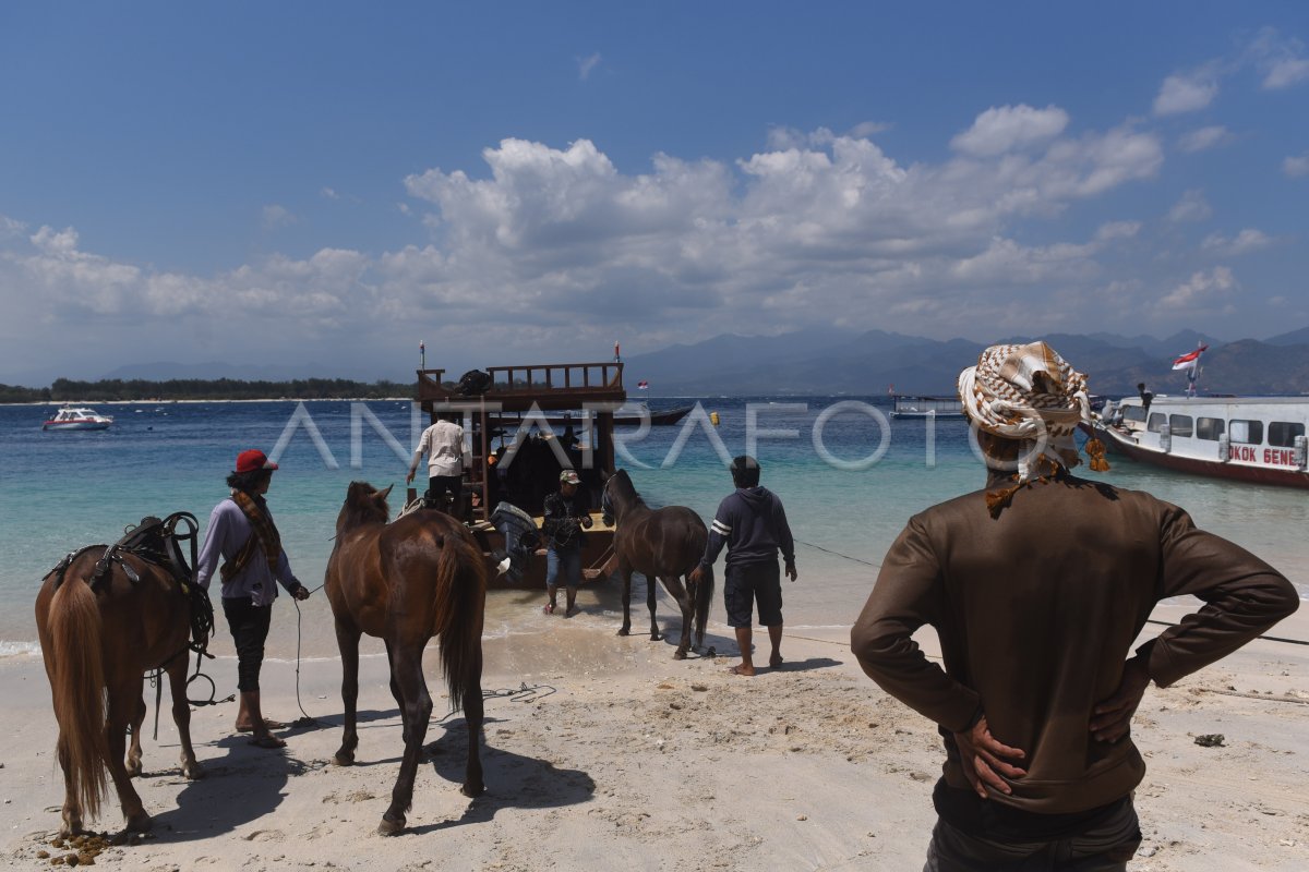 EVAKUASI KUDA DARI GILI TRAWANGAN | ANTARA Foto