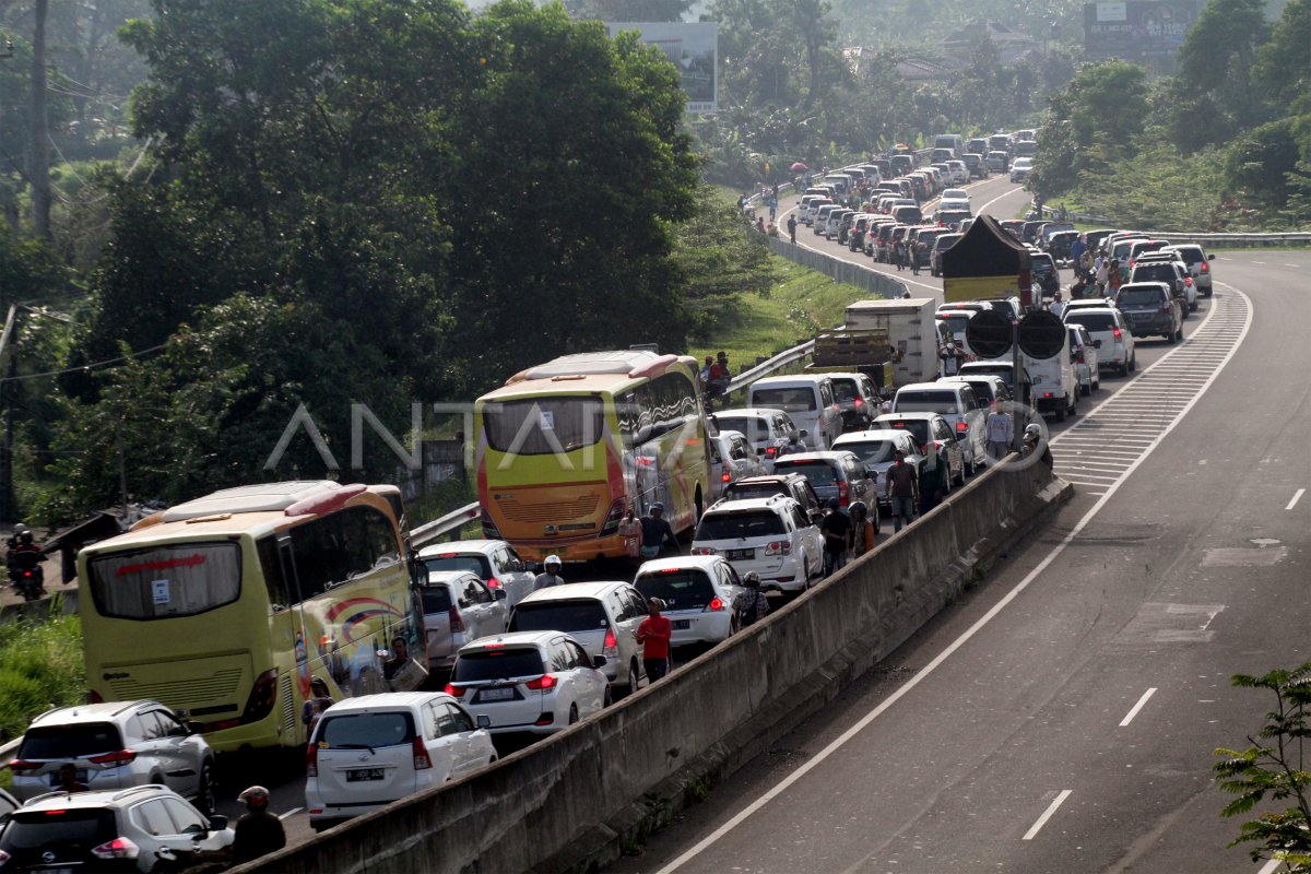 KEMACETAN JALUR PUNCAK LIBUR MAULID | ANTARA Foto KEMACETAN JALUR PUNCAK LIBUR MAULID | ANTARA Foto