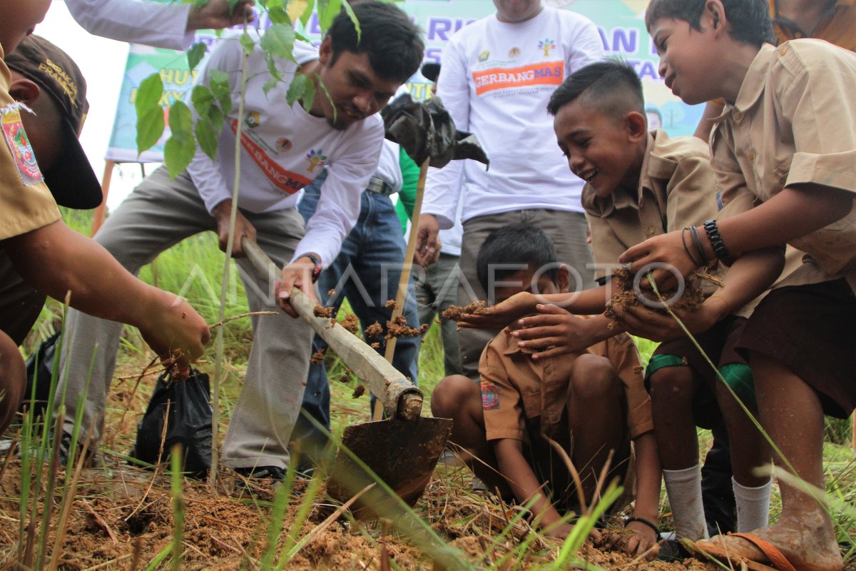 HARI BAKTI RIMBAWAN | ANTARA Foto HARI BAKTI RIMBAWAN | ANTARA Foto