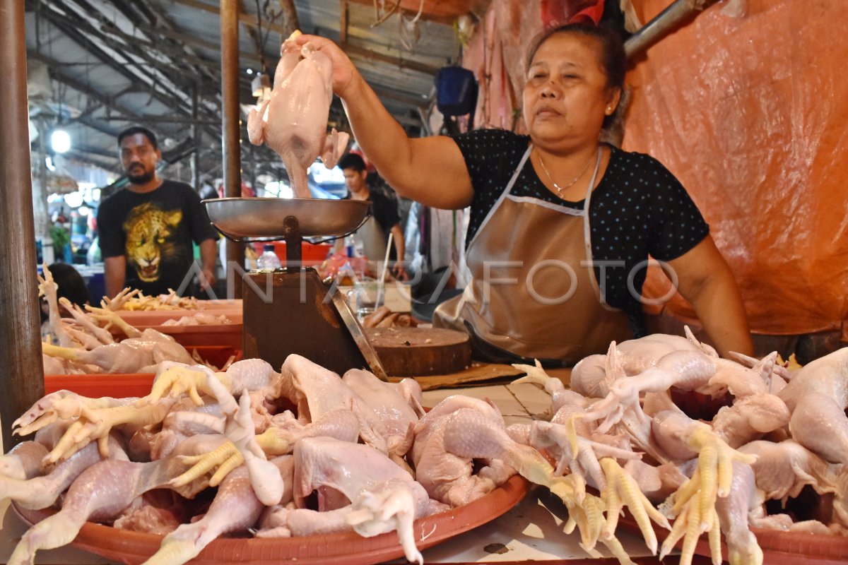 KENAIKAN HARGA DAGING AYAM | ANTARA Foto