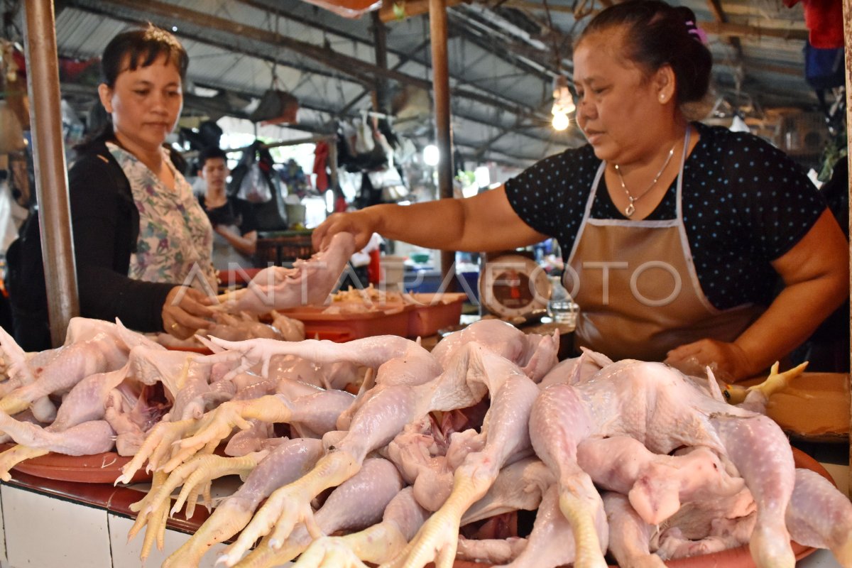 KENAIKAN HARGA DAGING AYAM | ANTARA Foto