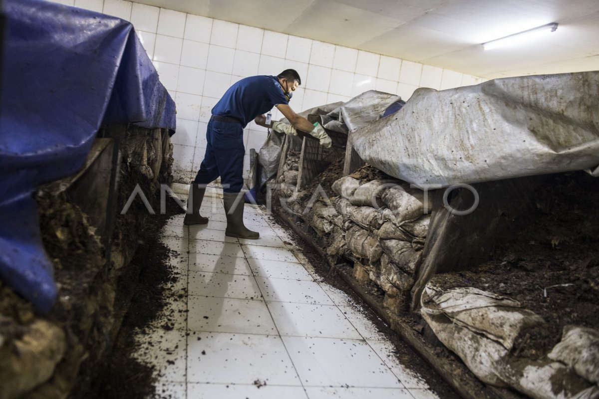 PENGOLAHAN SAMPAH ORGANIK PARIS VAN JAVA | ANTARA Foto