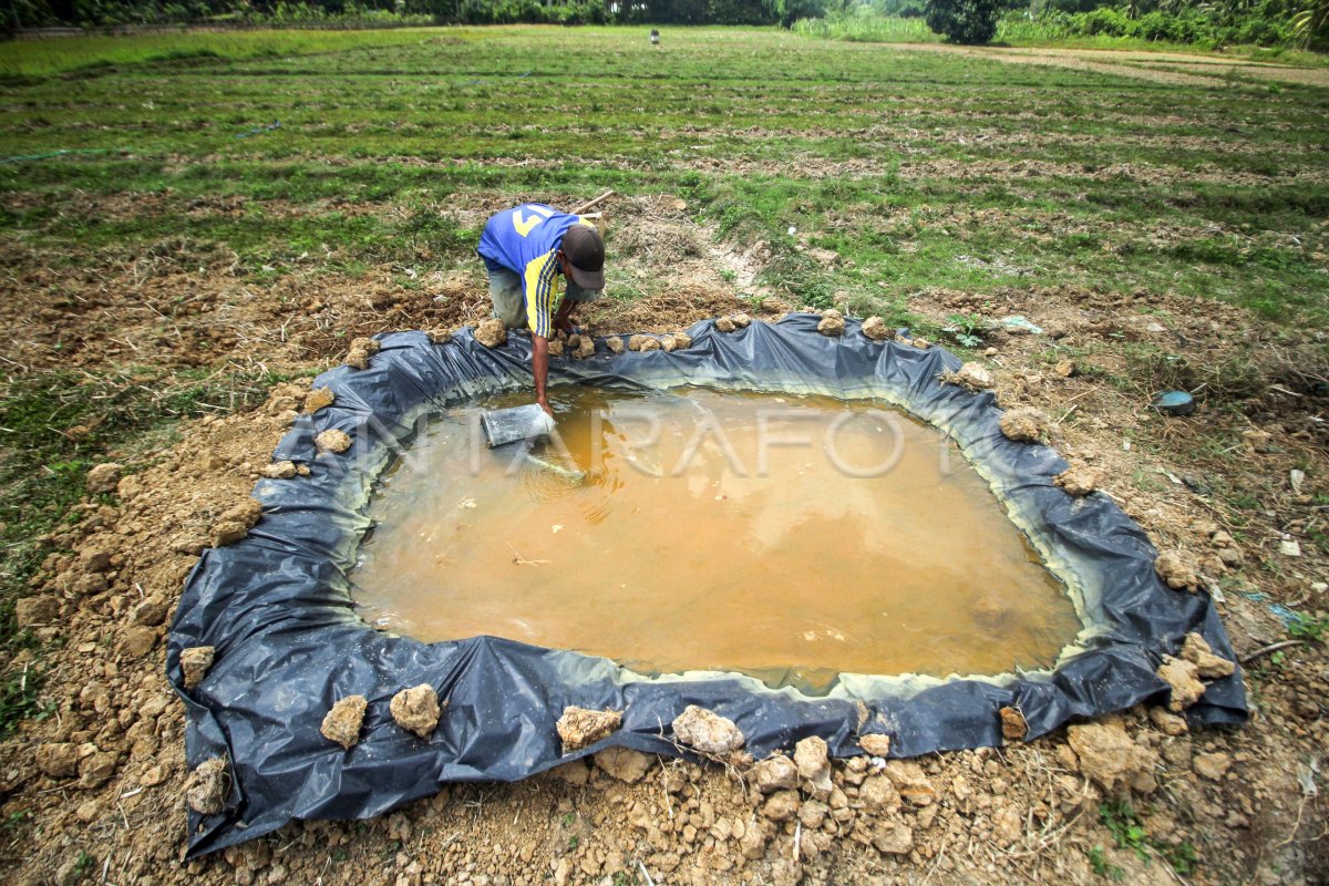 DAMPAK KEMARAU DI ACEH | ANTARA Foto