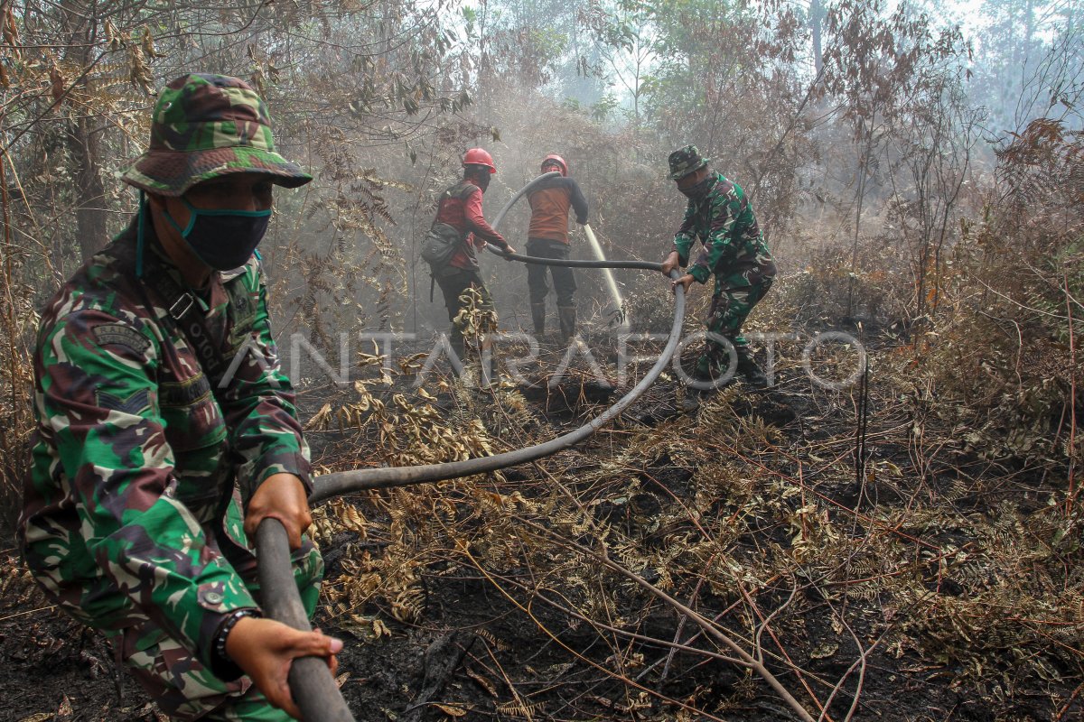PEMADAMAN KEBAKARAN LAHAN GAMBUT | ANTARA Foto