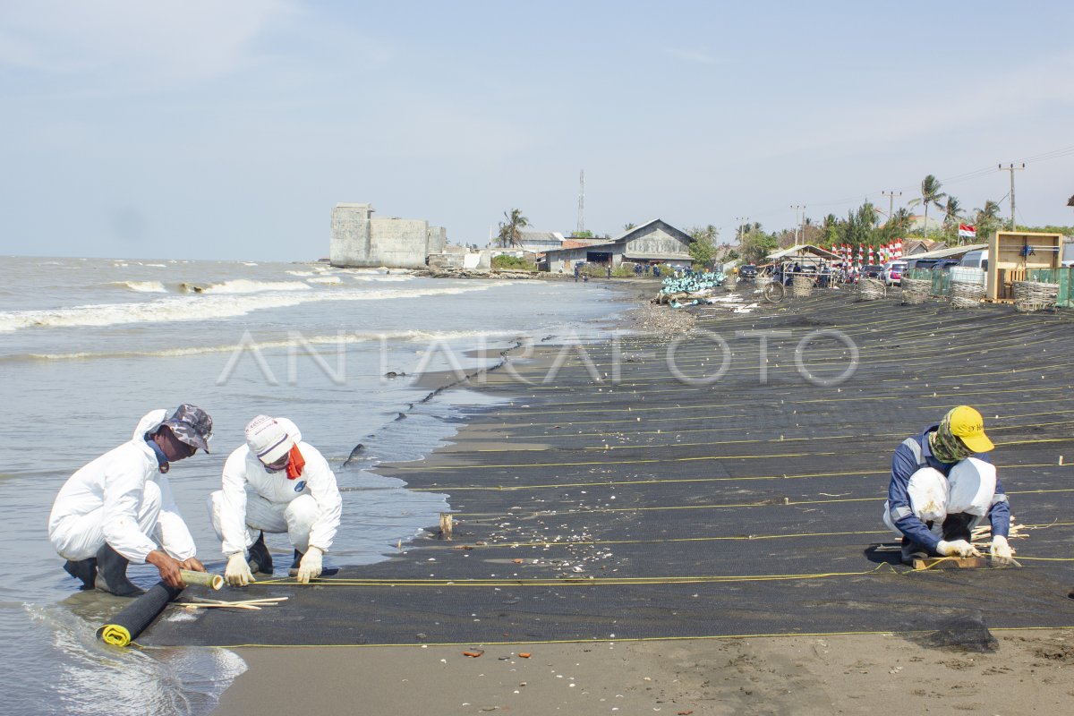PENANGANAN LANJUTAN TUMPAHAN MINYAK MENTAH DI KARAWANG | ANTARA Foto PENANGANAN LANJUTAN TUMPAHAN MINYAK MENTAH DI KARAWANG | ANTARA Foto