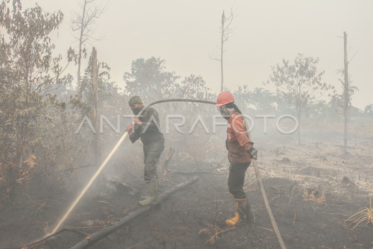 UPAYA PEMADAMAN KEBAKARAN LAHAN KAMPAR | ANTARA Foto