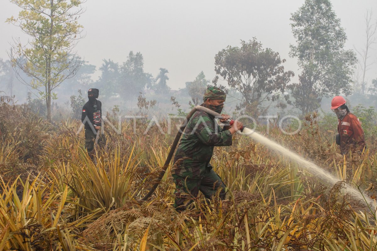 UPAYA PEMADAMAN KEBAKARAN LAHAN KAMPAR | ANTARA Foto