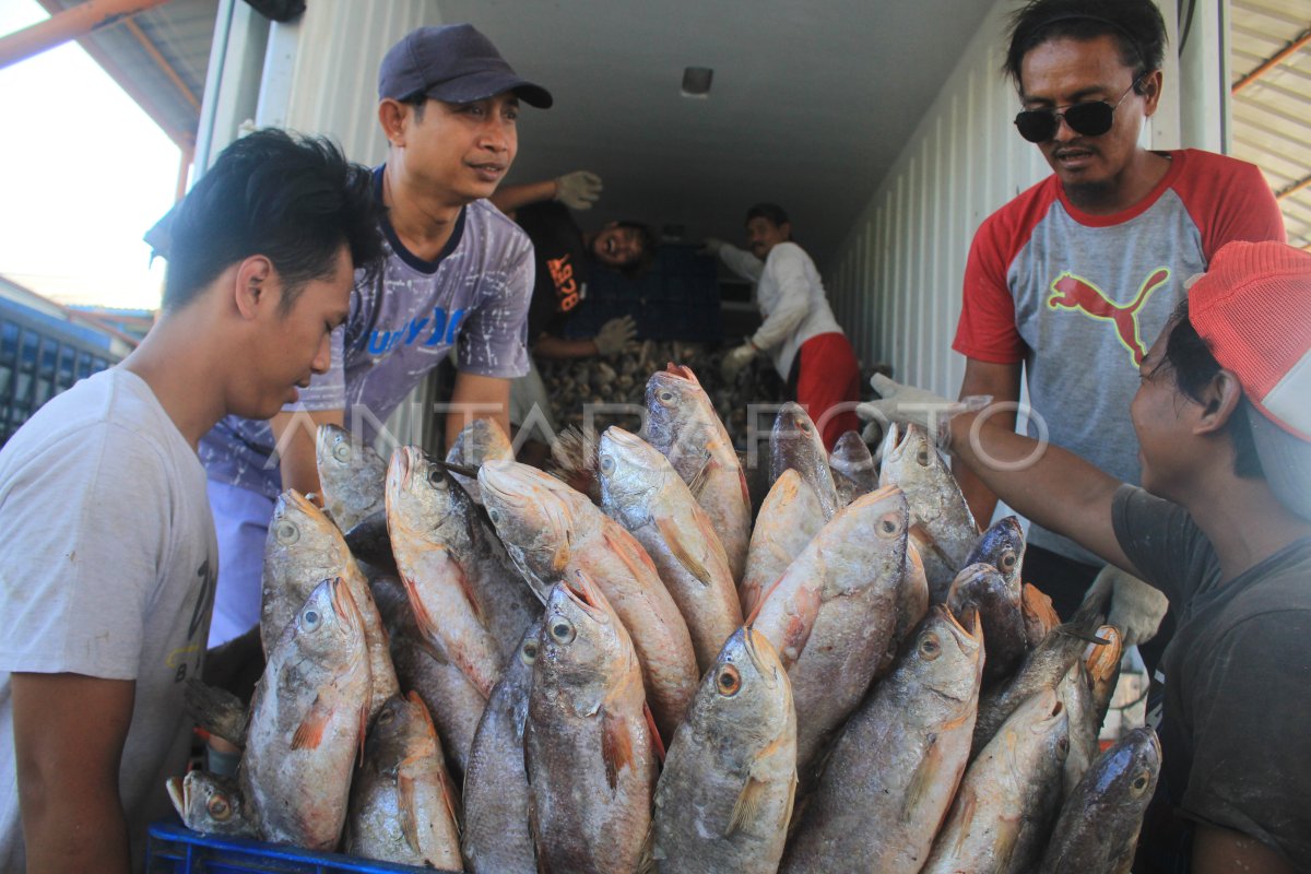 PRODUKSI IKAN INDONESIA | ANTARA Foto