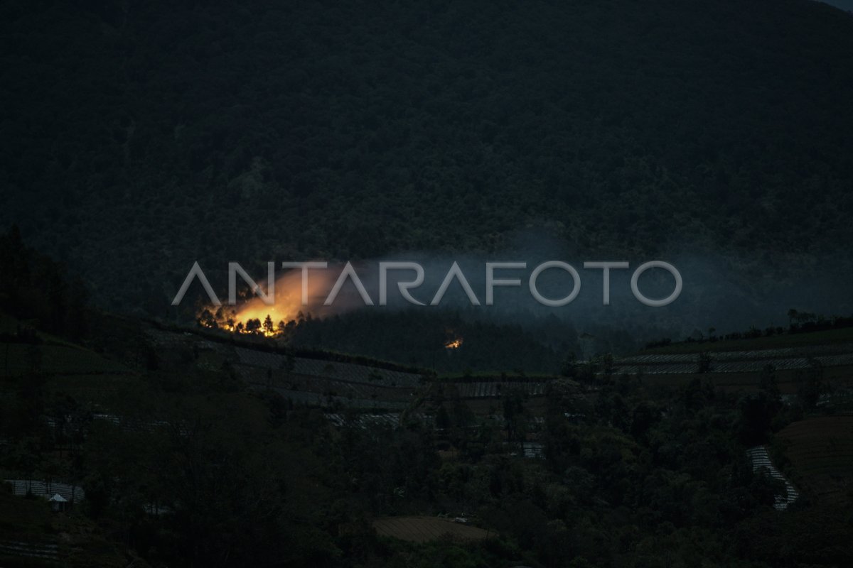 KEBAKARAN HUTAN GUNUNG SLAMET | ANTARA Foto KEBAKARAN HUTAN GUNUNG SLAMET | ANTARA Foto