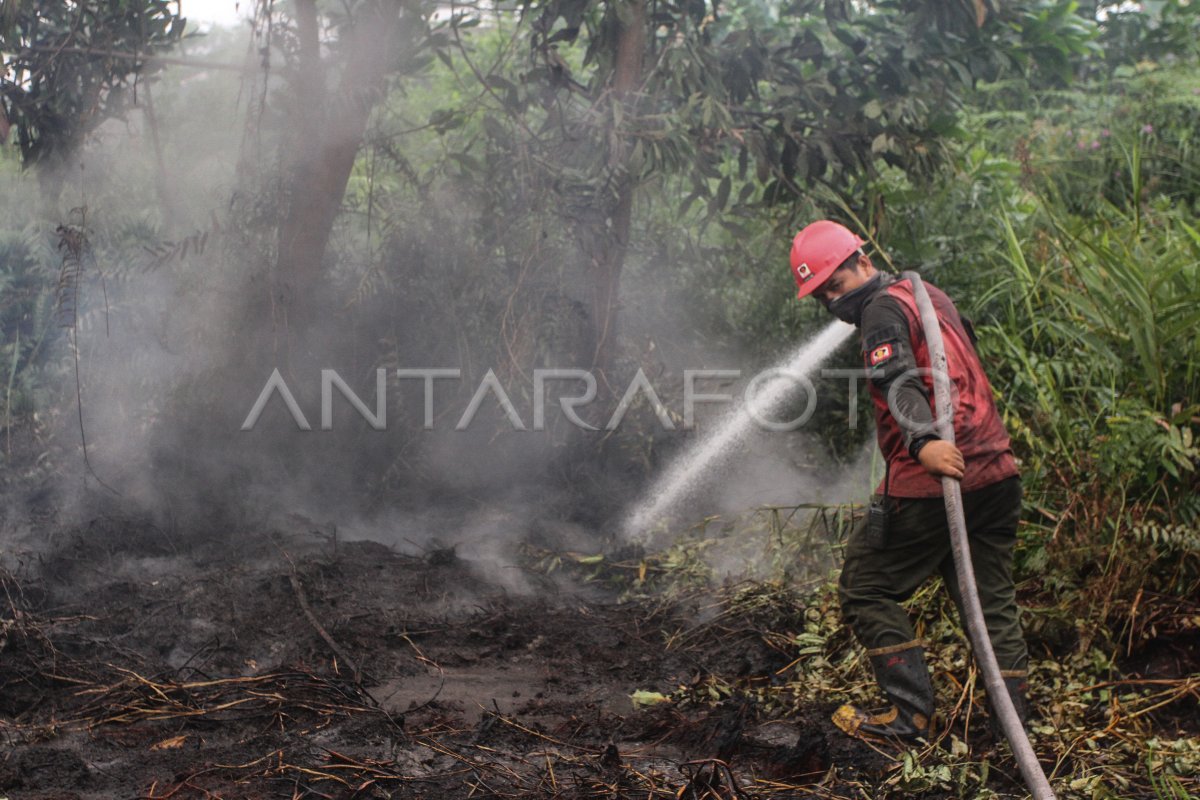 PEMADAMAN KEBAKARAN LAHAN GAMBUT | ANTARA Foto
