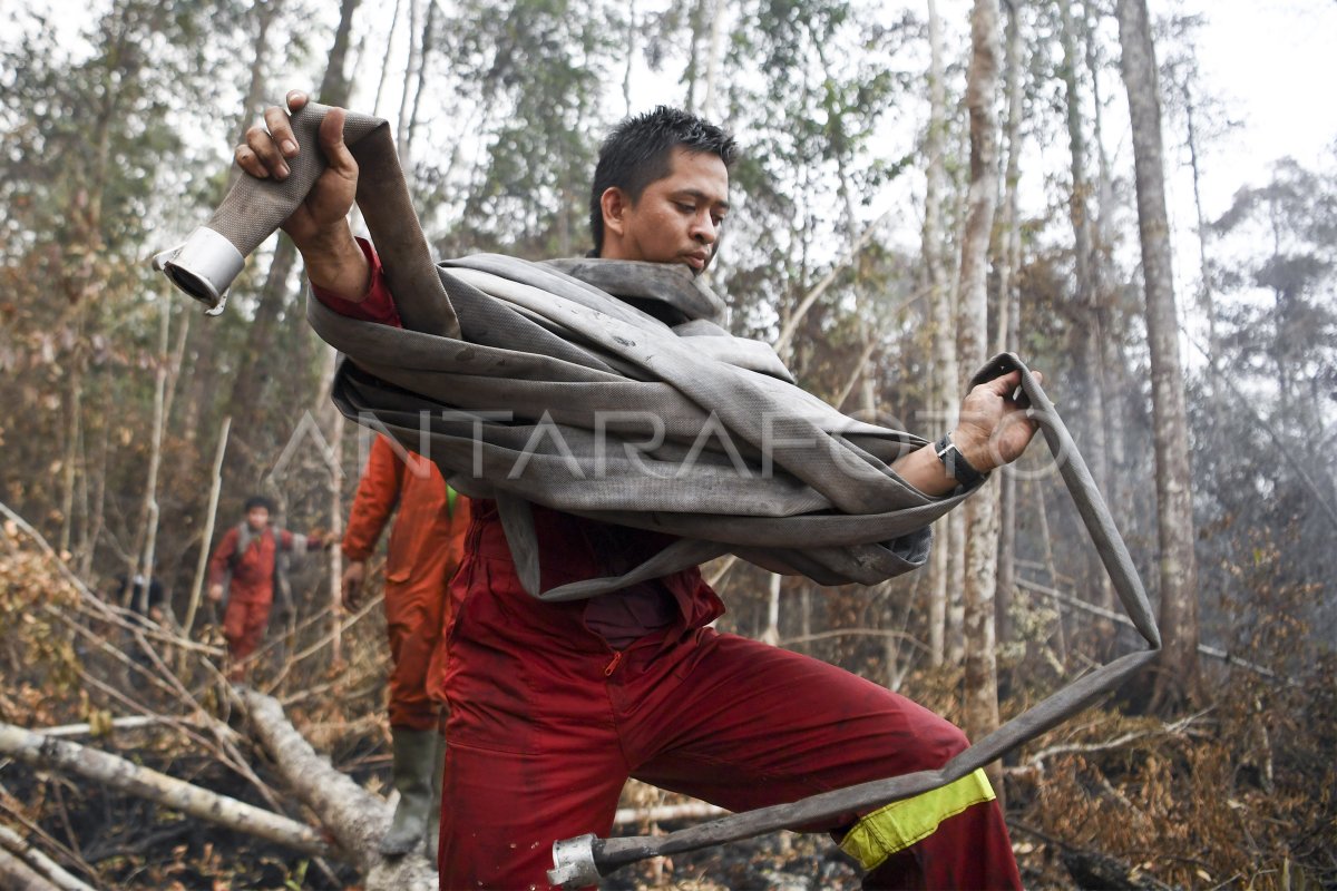 PENANGANAN KEBAKARAN TAMAN NASIONAL SEBANGAU | ANTARA Foto