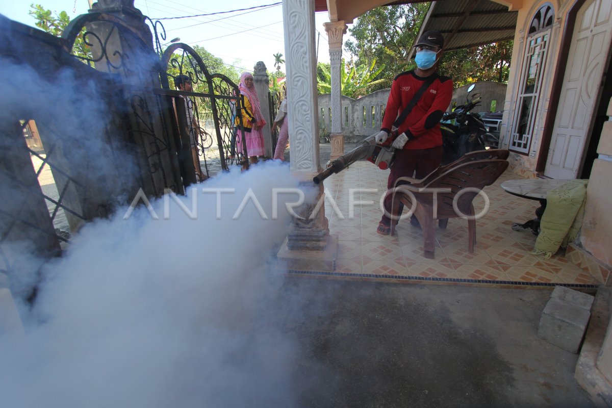 BERANTAS SARANG NYAMUK AEDES AEGYPTI | ANTARA Foto BERANTAS SARANG NYAMUK AEDES AEGYPTI | ANTARA Foto