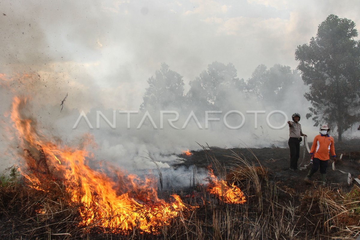 UPAYA PEMADAMAN KEBAKARAN LAHAN | ANTARA Foto