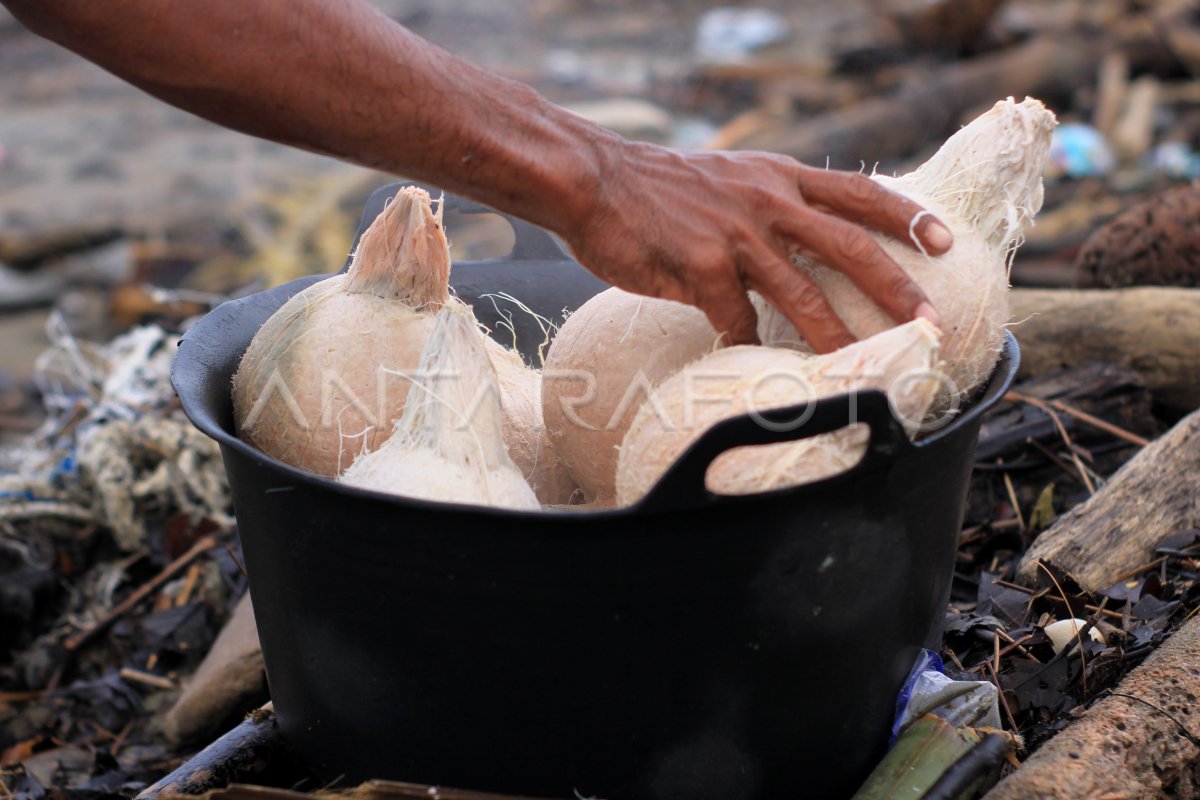 KELAPA MUDA BAKAR KHAS RAMADHAN | ANTARA Foto KELAPA MUDA BAKAR KHAS RAMADHAN | ANTARA Foto