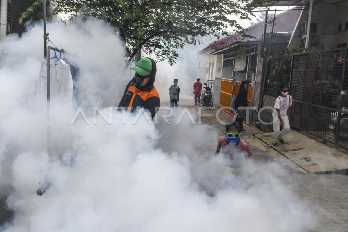 WASPADA KASUS DBD | ANTARA Foto