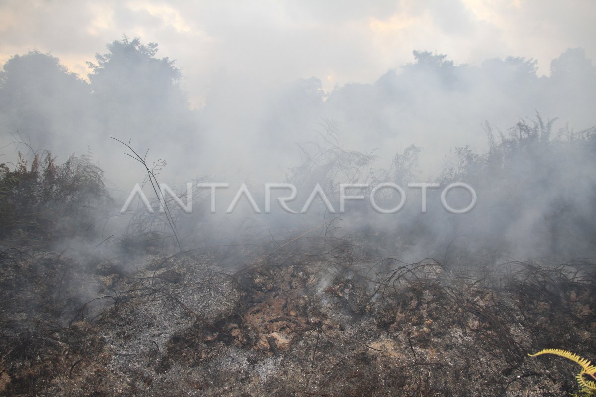 KEBAKARAN LAHAN GAMBUT DI ACEH BARAT | ANTARA Foto