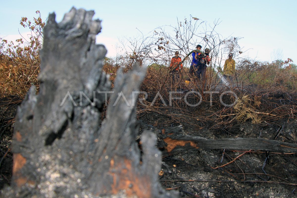 KEBAKARAN HUTAN DAN LAHAN DI ACEH | ANTARA Foto