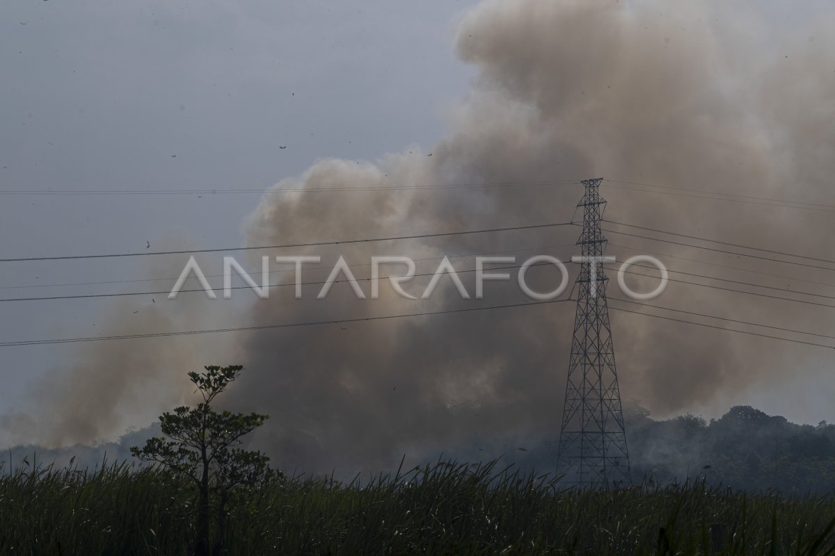 KEBAKARAN LAHAN DI PALEMBANG | ANTARA Foto KEBAKARAN LAHAN DI PALEMBANG | ANTARA Foto
