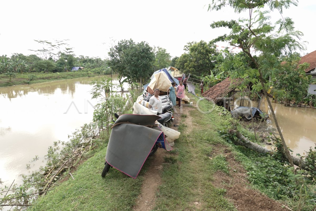 BANGUN TENDA DARURAT DIATAS TANGGUL SUNGAI | ANTARA Foto BANGUN TENDA DARURAT DIATAS TANGGUL SUNGAI | ANTARA Foto