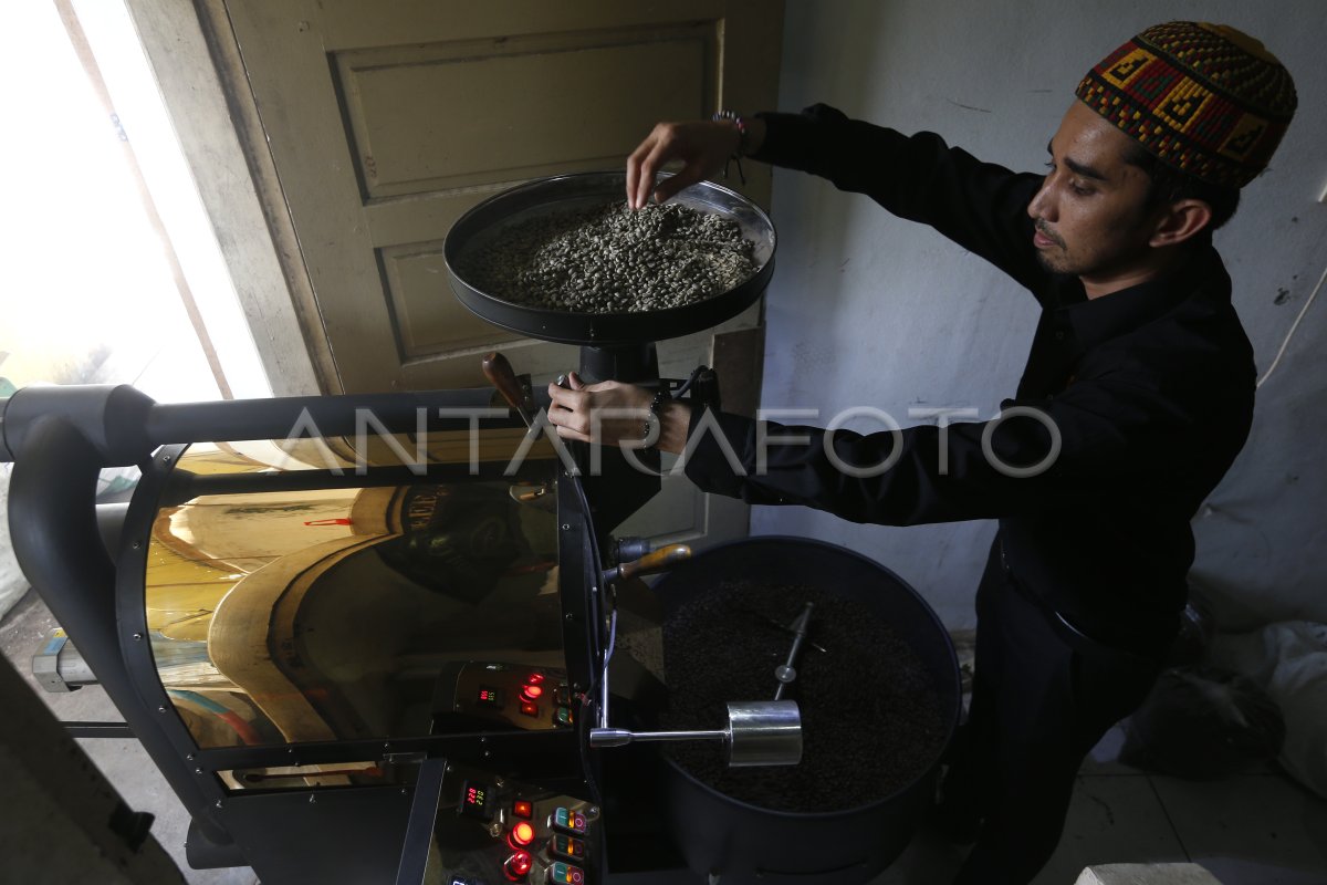PENGOLAHAN BIJI KOPI ARABIKA GAYO | ANTARA Foto PENGOLAHAN BIJI KOPI ARABIKA GAYO | ANTARA Foto