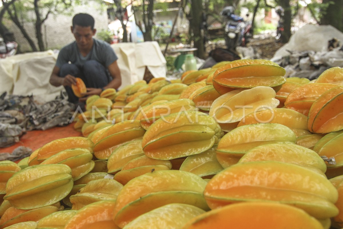 PANEN BELIMBING DEWI KHAS KOTA DEPOK | ANTARA Foto PANEN BELIMBING DEWI KHAS KOTA DEPOK | ANTARA Foto