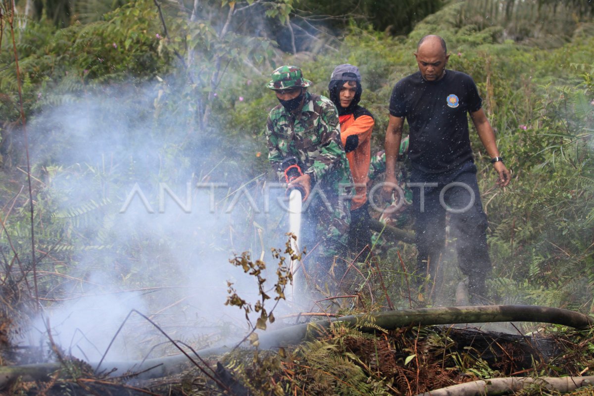 KEBAKARAN LAHAN GAMBUT DI ACEH BARAT DAN NAGAN RAYA | ANTARA Foto