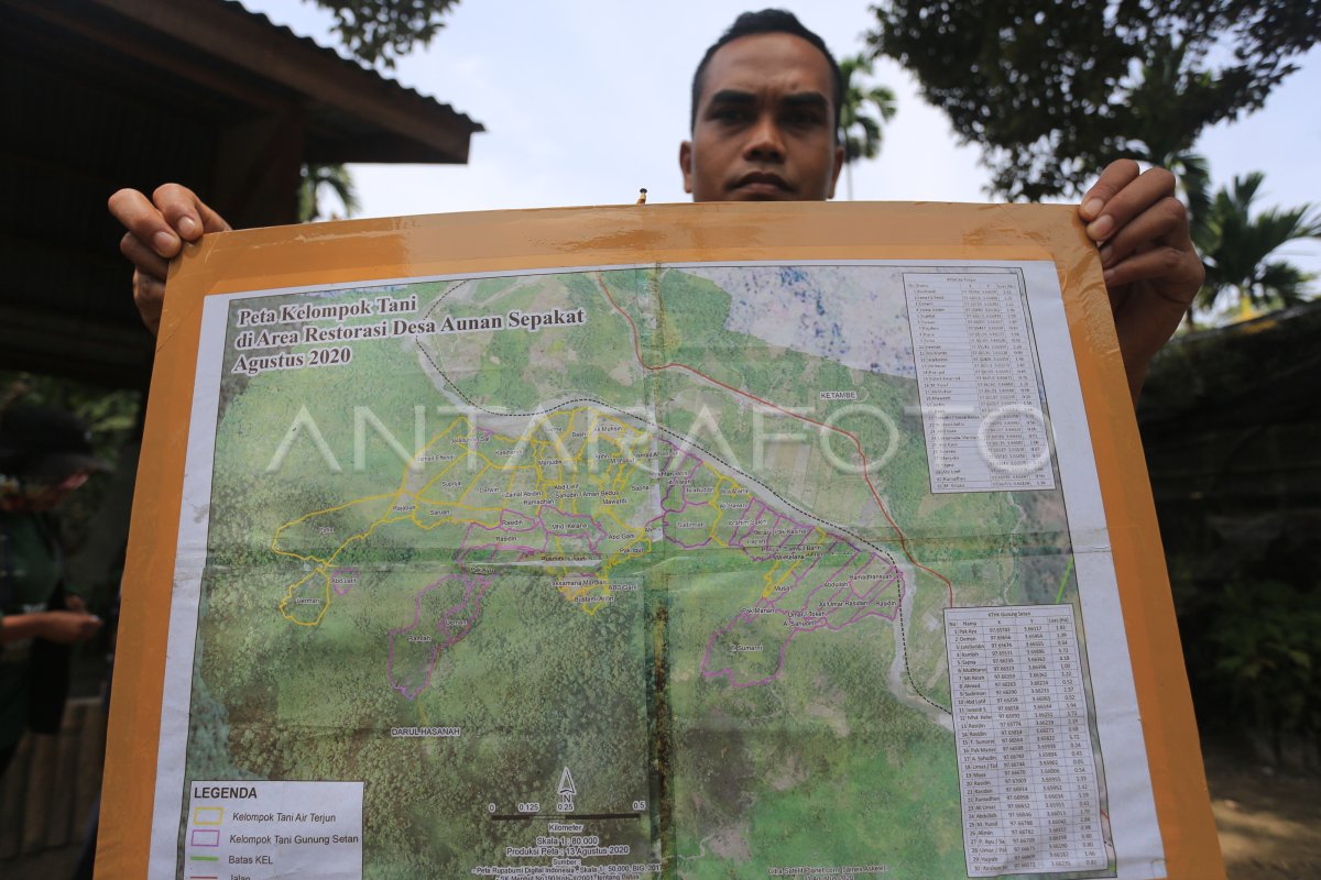 RESTORASI HUTAN DI KAWASAN TNGL | ANTARA Foto
