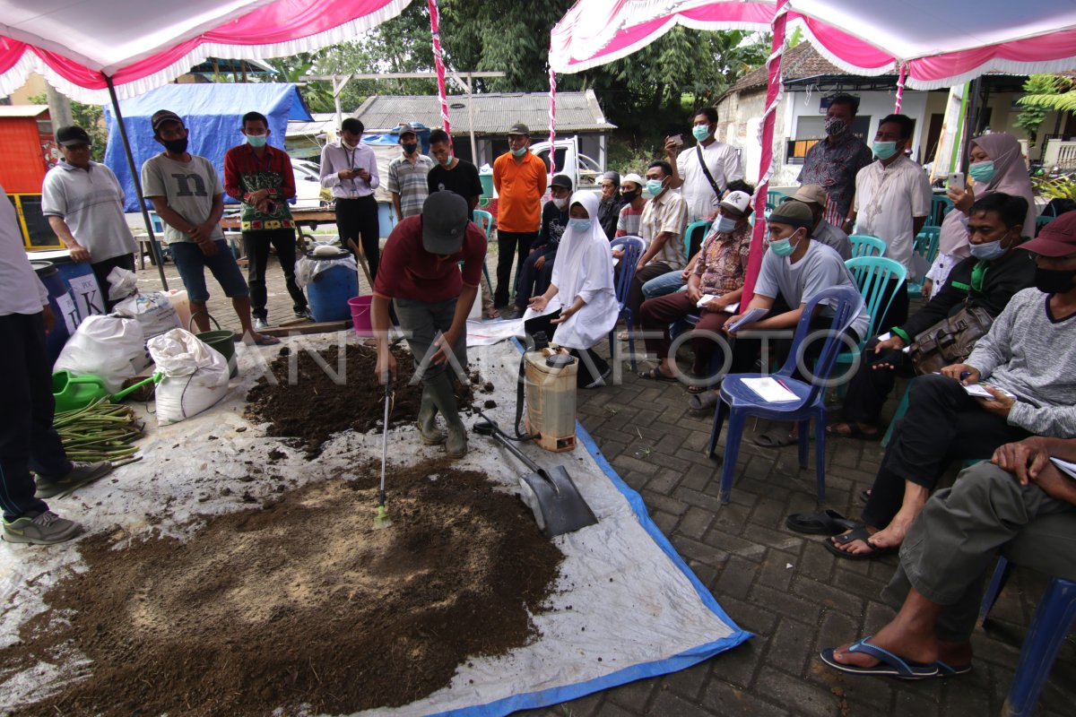 PELATIHAN PERTANIAN ORGANIK | ANTARA Foto