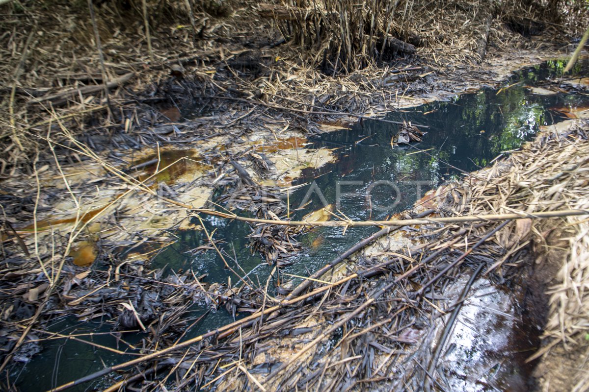 PENUTUPAN SUMUR MINYAK ILEGAL DI MUBA | ANTARA Foto PENUTUPAN SUMUR MINYAK ILEGAL DI MUBA | ANTARA Foto