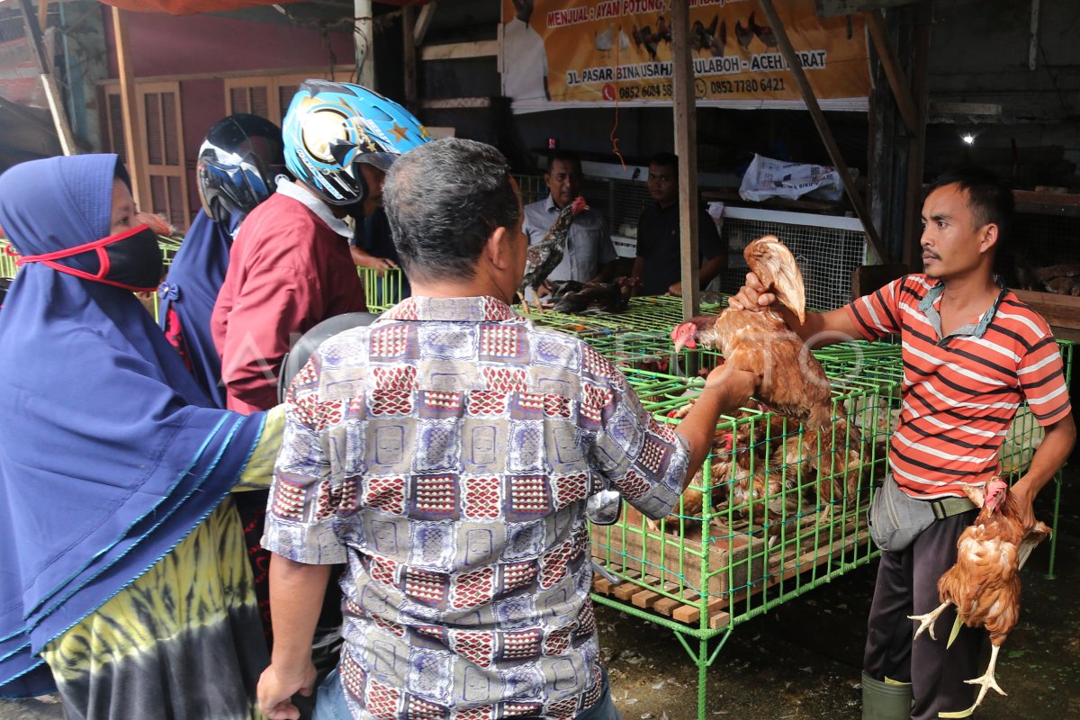 PENJUALAN AYAM POTONG DI ACEH | ANTARA Foto
