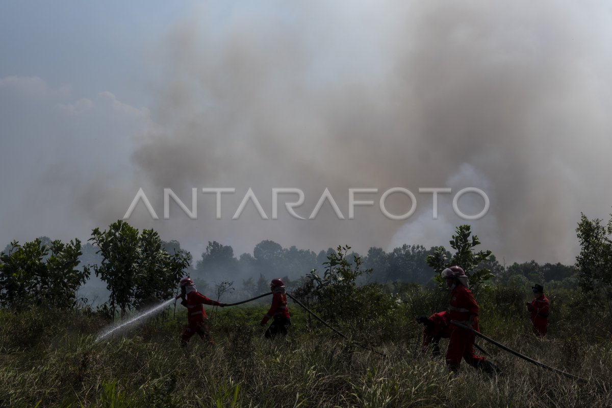 UPAYA PEMADAMAN KEBAKARAN LAHAN DI INDRALAYA UTARA | ANTARA Foto