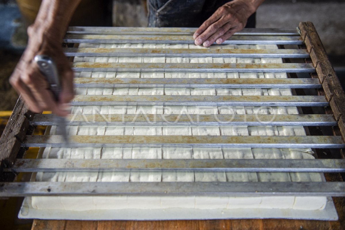 KEMENDAG JAMIN HARGA KEDELAI TETAP TERJANGKAU | ANTARA Foto KEMENDAG JAMIN HARGA KEDELAI TETAP TERJANGKAU | ANTARA Foto