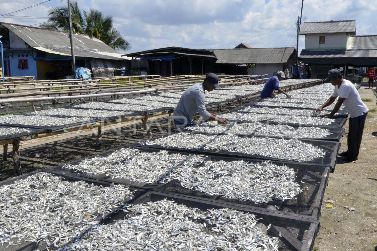 PRODUKSI IKAN TERI ASIN PULAU PASARAN | ANTARA Foto