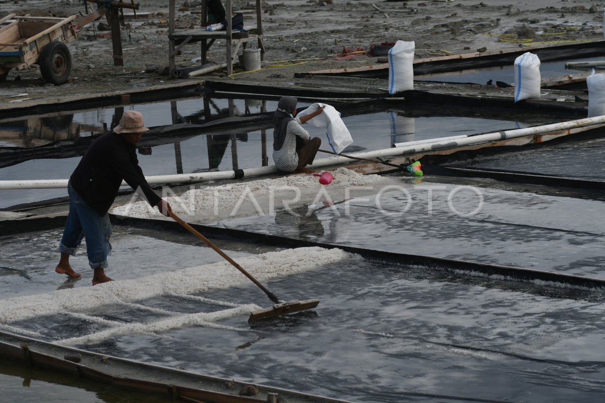 PRODUKSI GARAM DENGAN GEOMEMBRAN | ANTARA Foto