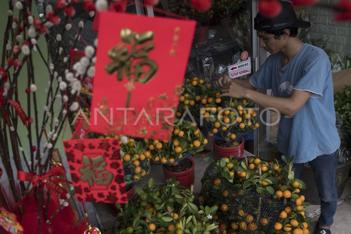 PENJUALAN TANAMAN JERUK HIAS JELANG IMLEK | ANTARA Foto PENJUALAN TANAMAN JERUK HIAS JELANG IMLEK | ANTARA Foto
