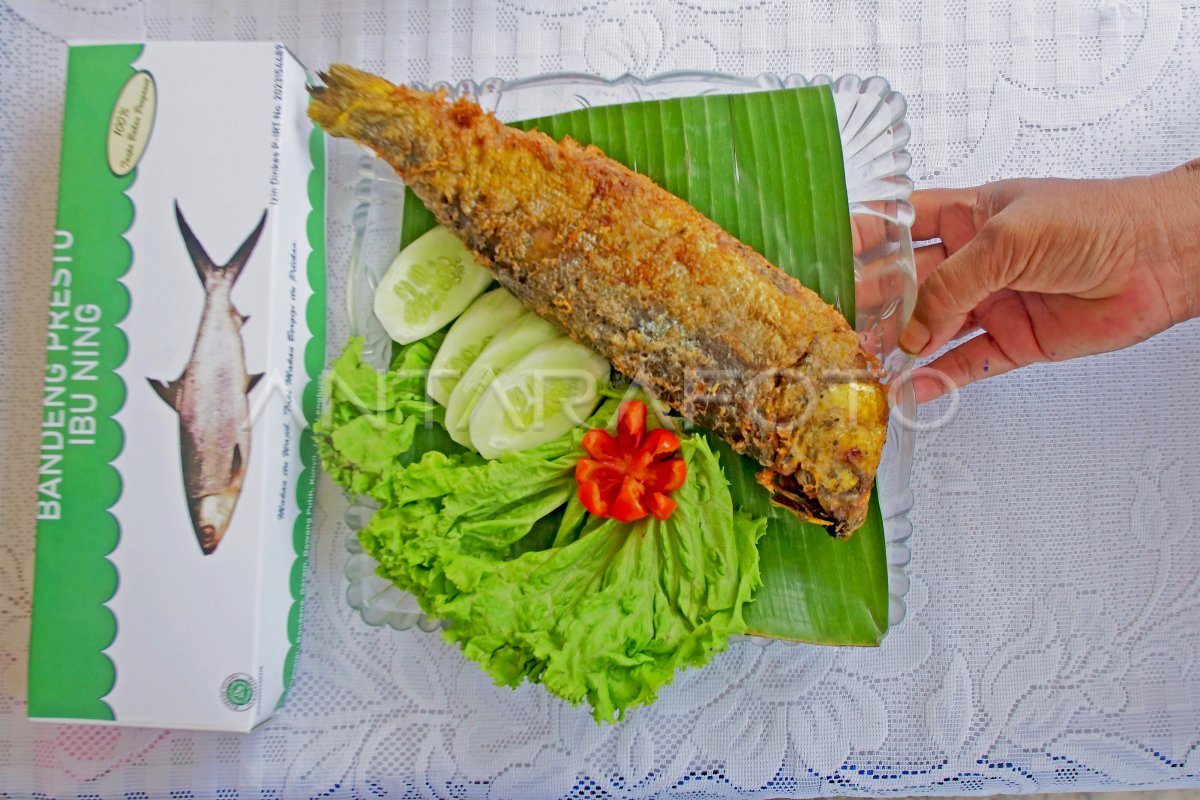 FESTIVAL KULINER UMKM DI KARAWANG | ANTARA Foto FESTIVAL KULINER UMKM DI KARAWANG | ANTARA Foto