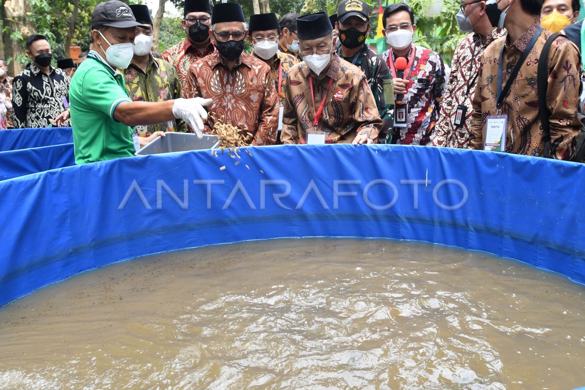 OJK DUKUNG PENGEMBANGAN BADAN WAKAF MIKRO | ANTARA Foto OJK DUKUNG PENGEMBANGAN BADAN WAKAF MIKRO | ANTARA Foto