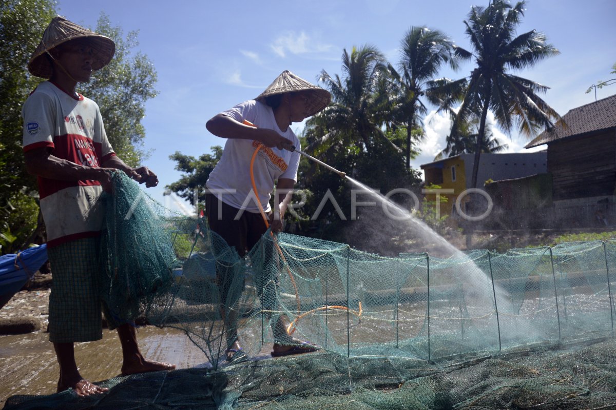 ALAT TANGKAP KEPITING BAKAU BUNAGALA | ANTARA Foto ALAT TANGKAP KEPITING BAKAU BUNAGALA | ANTARA Foto