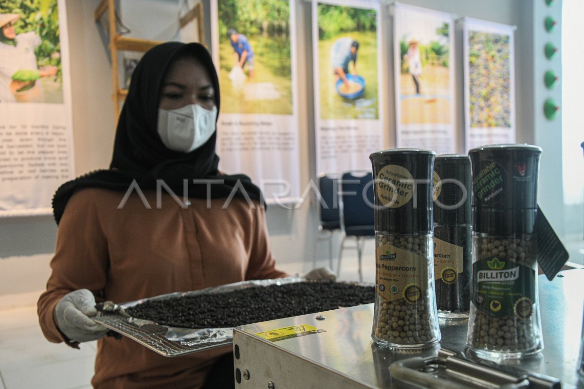 UMKM LADA GERNAS BBI | ANTARA Foto UMKM LADA GERNAS BBI | ANTARA Foto