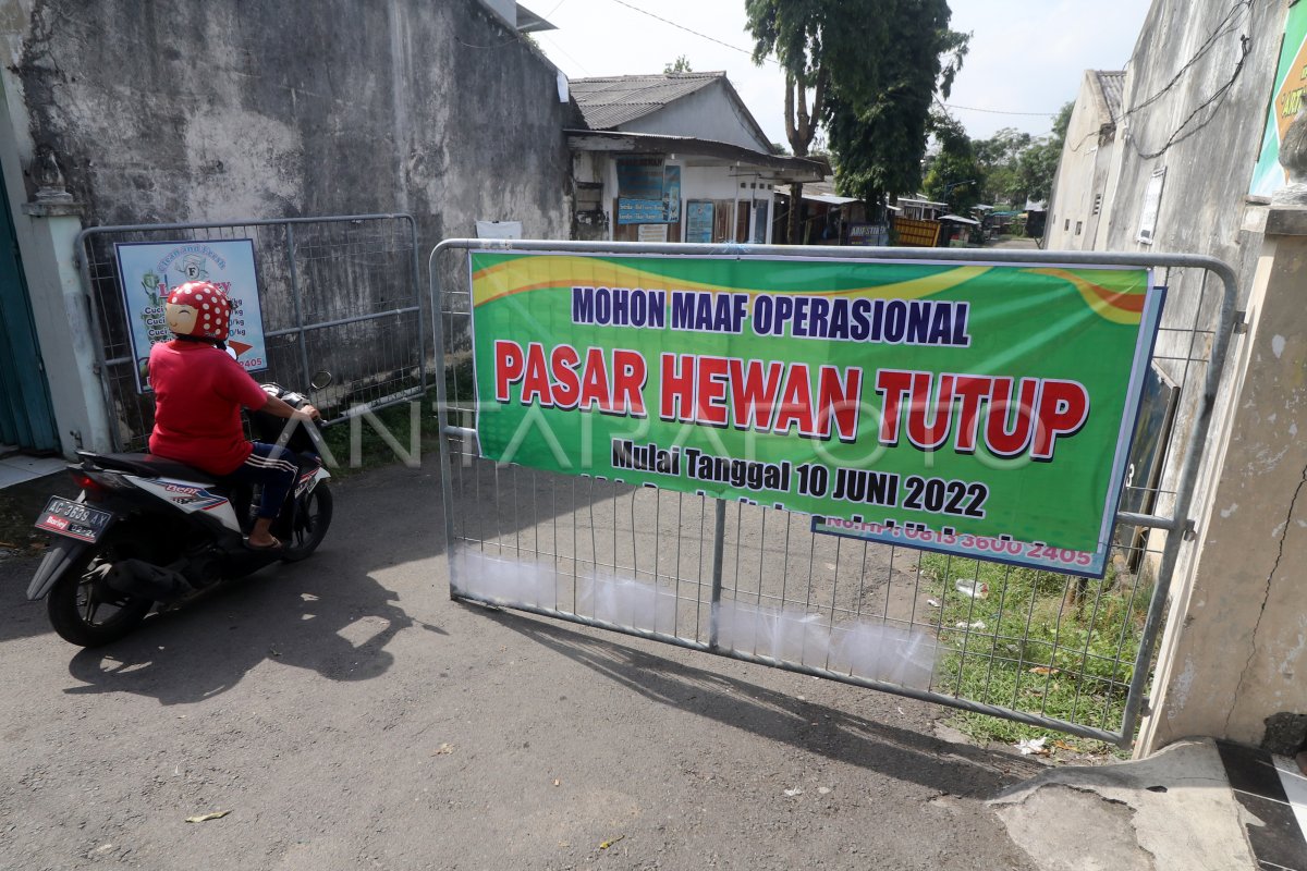 PENUTUPAN PASAR HEWAN DI KOTA KEDIRI DIPERPANJANG | ANTARA Foto PENUTUPAN PASAR HEWAN DI KOTA KEDIRI DIPERPANJANG | ANTARA Foto