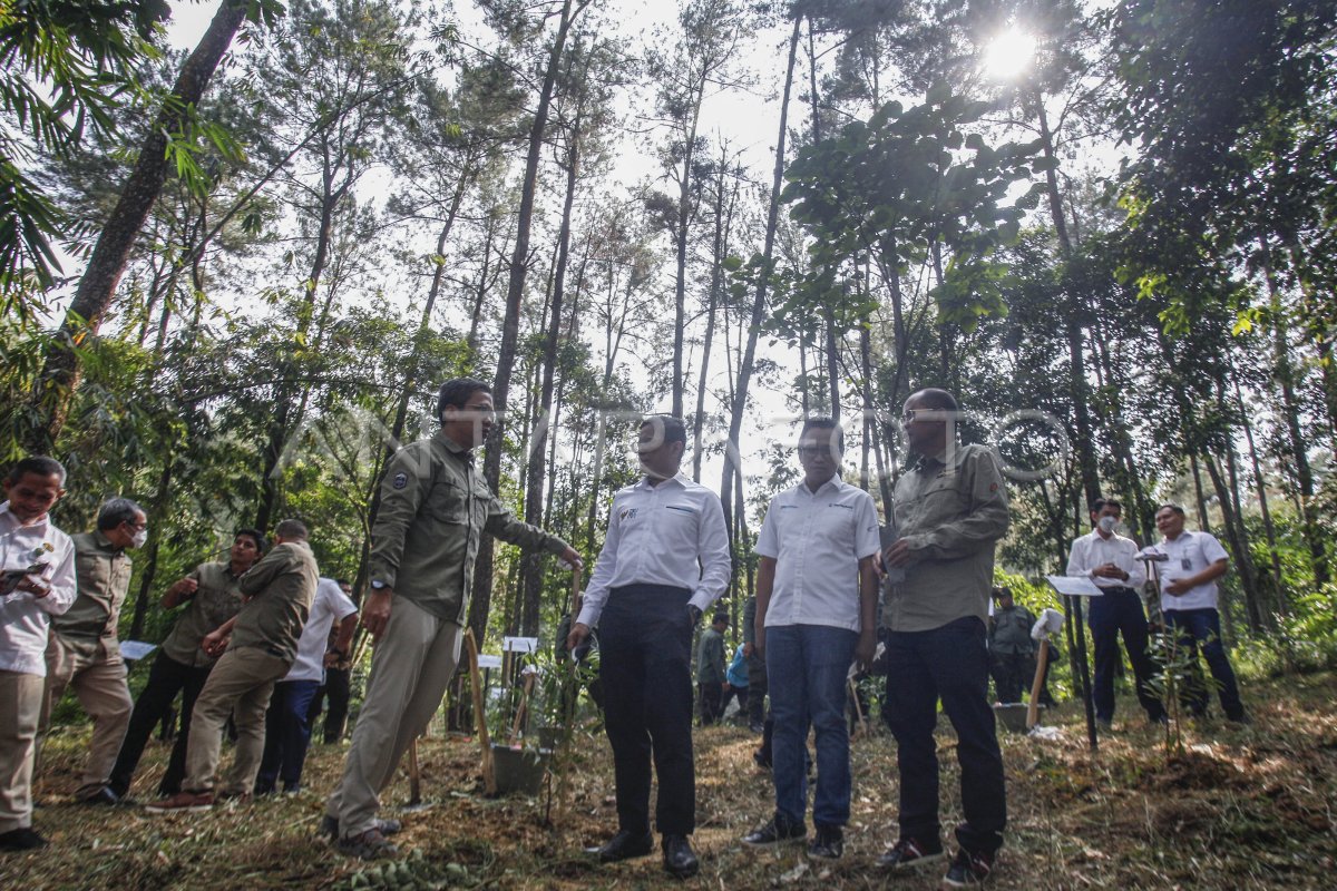 PROYEK NATURE BASED SOLUTIONS PERTAMINA PPI-PERHUTANI | ANTARA Foto PROYEK NATURE BASED SOLUTIONS PERTAMINA PPI-PERHUTANI | ANTARA Foto