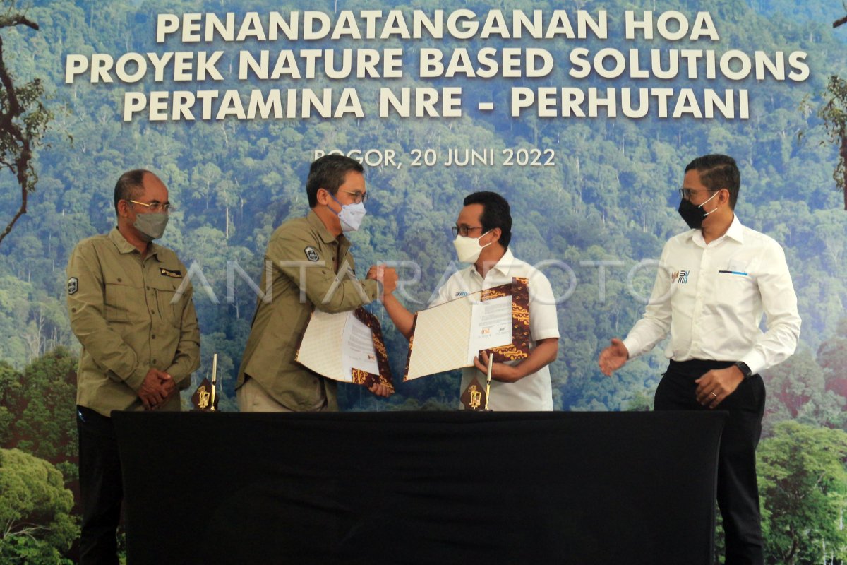 PROYEK NATURE BASED SOLUTIONS PERTAMINA PPI-PERHUTANI | ANTARA Foto PROYEK NATURE BASED SOLUTIONS PERTAMINA PPI-PERHUTANI | ANTARA Foto