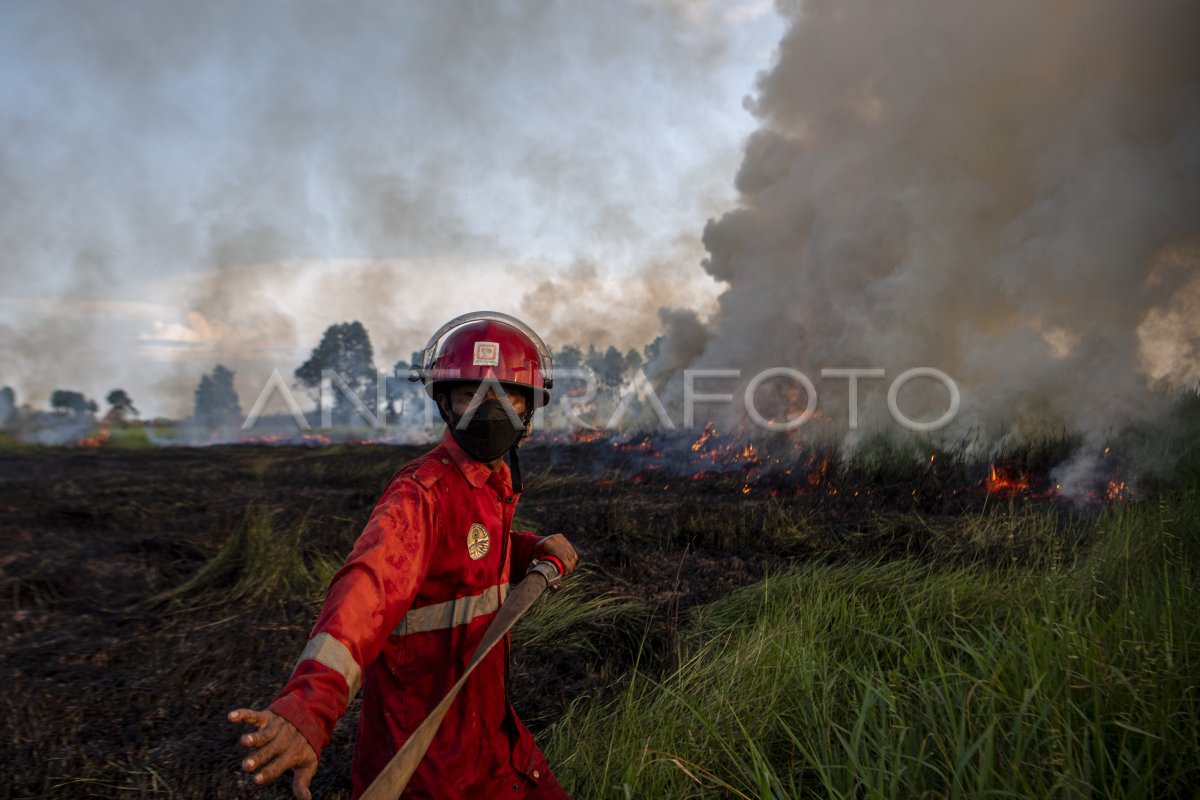 UPAYA PEMADAMAN KEBAKARAN LAHAN DI OGAN ILIR | ANTARA Foto