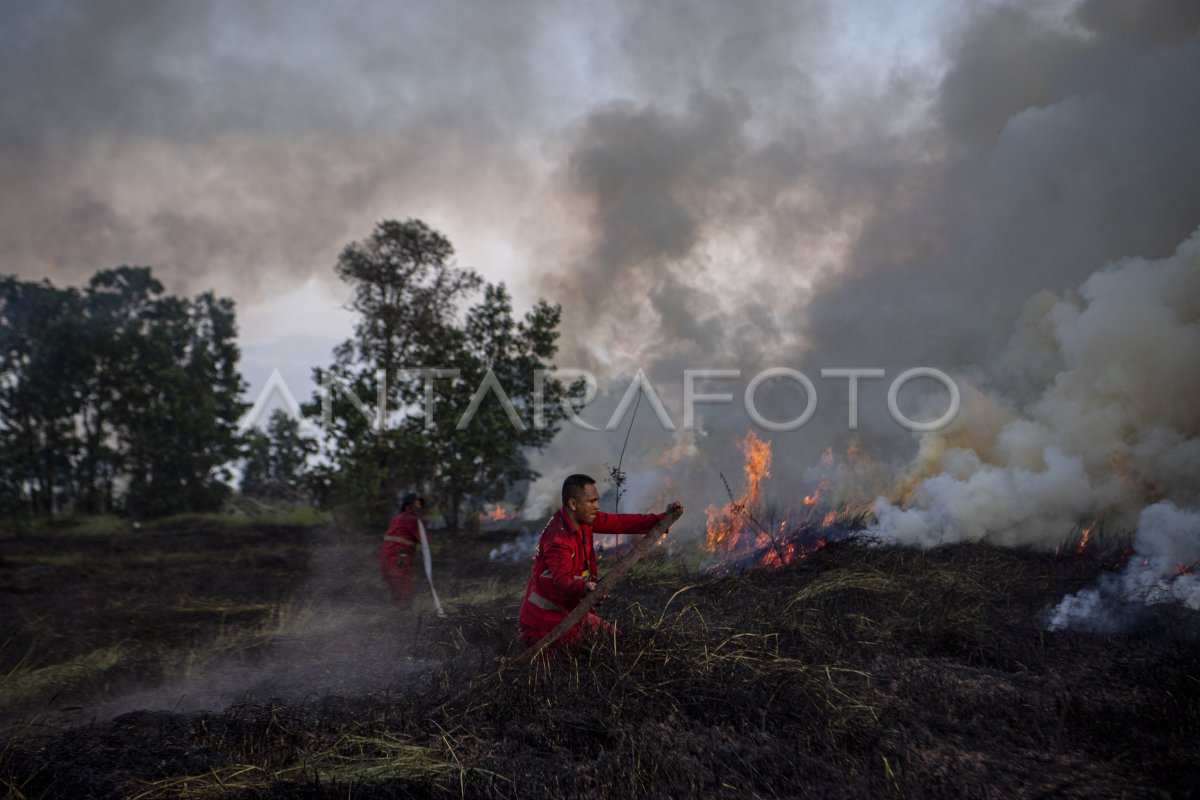 UPAYA PEMADAMAN KEBAKARAN LAHAN DI OGAN ILIR | ANTARA Foto