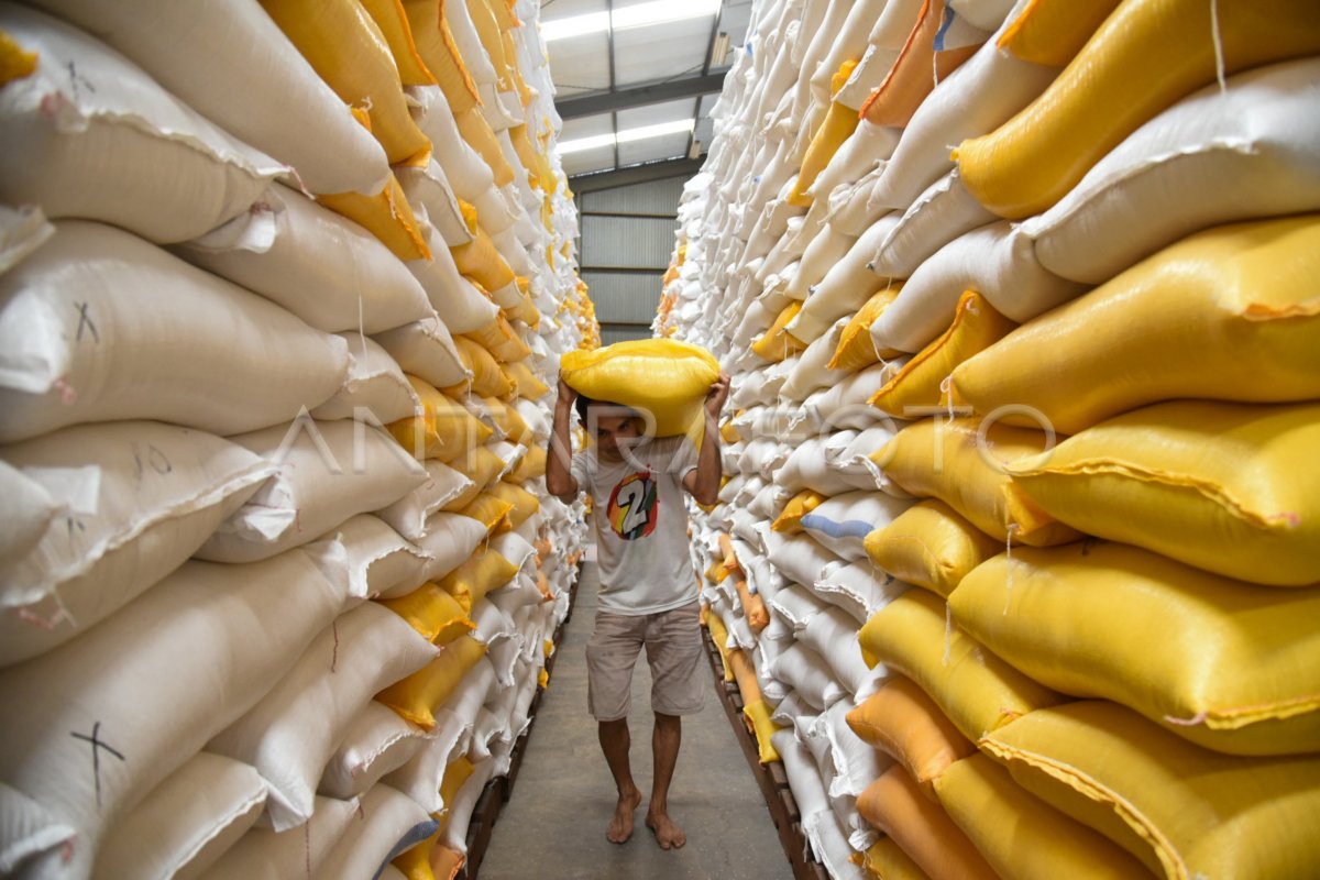 STOK BERAS NASIONAL AMAN HINGGA AKHIR TAHUN | ANTARA Foto