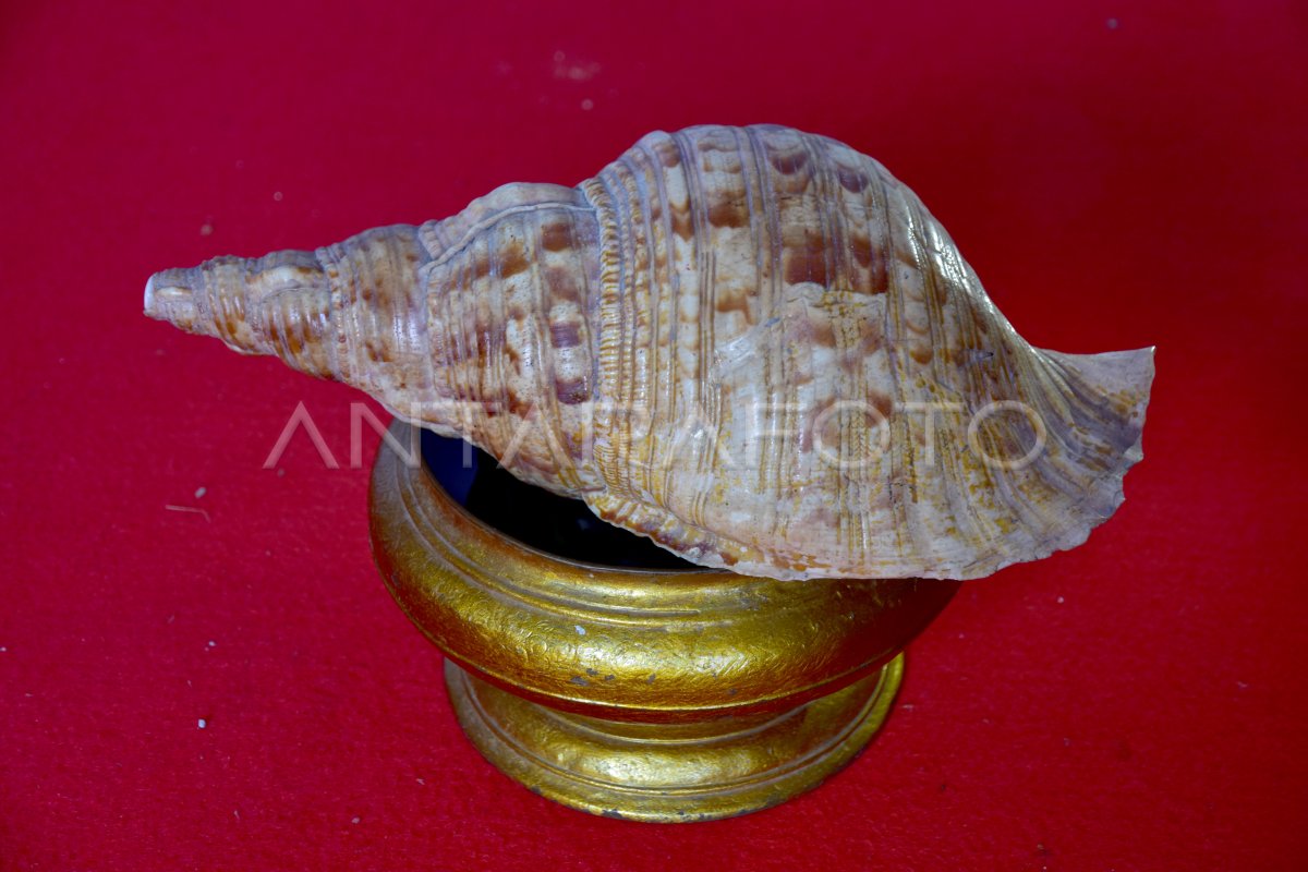 DESA ADAT NEGERI SOYA AMBON | ANTARA Foto